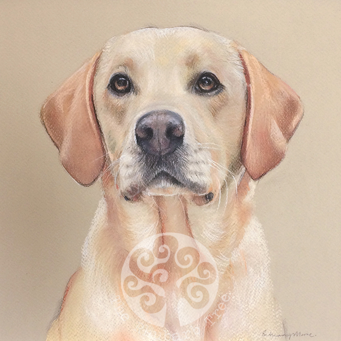 Monty_Bethany_Moore – Bethany Moore Artist